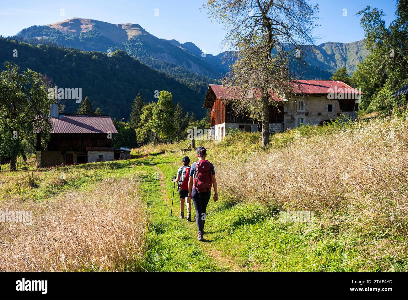Place du cheval hi-res stock photography and images - Alamy