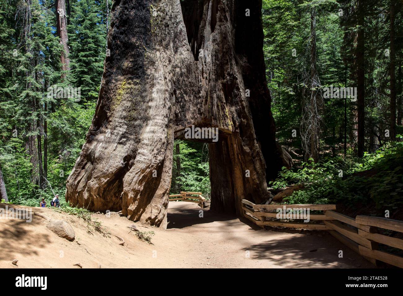 United States, California, Yosemite National Park, listed as World ...