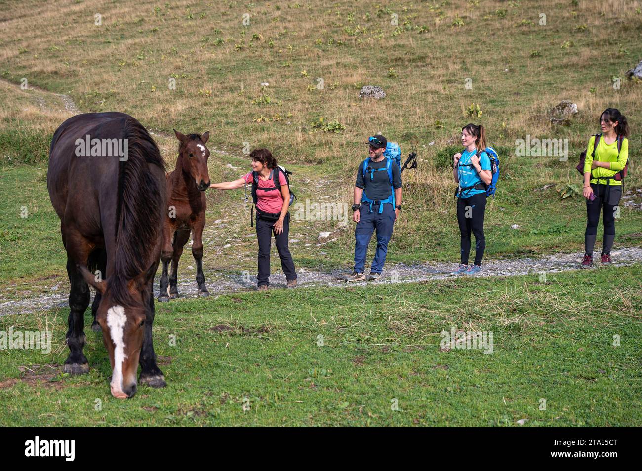 France, Haute-Savoie (74), Massif du Chablais, Montagnes du Giffre ...