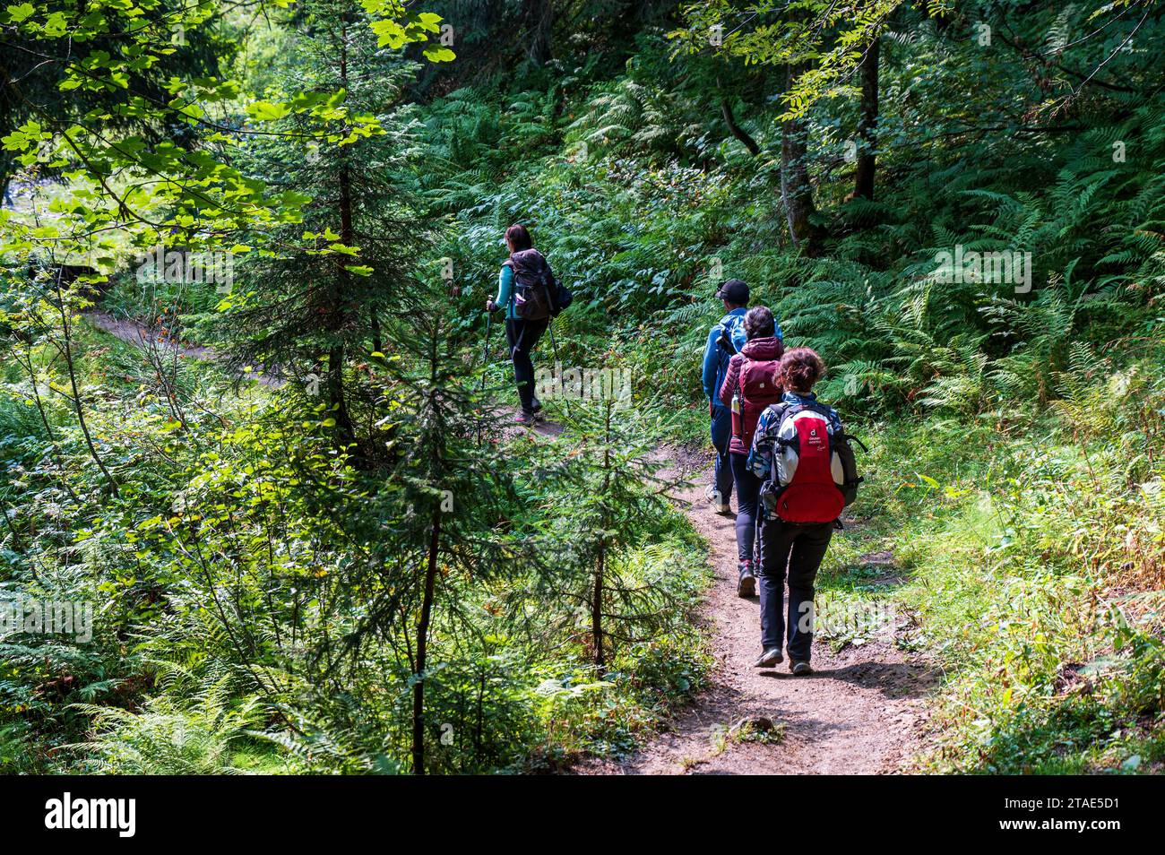 France, Haute-Savoie (74), Massif du Chablais, Montagnes du Giffre ...