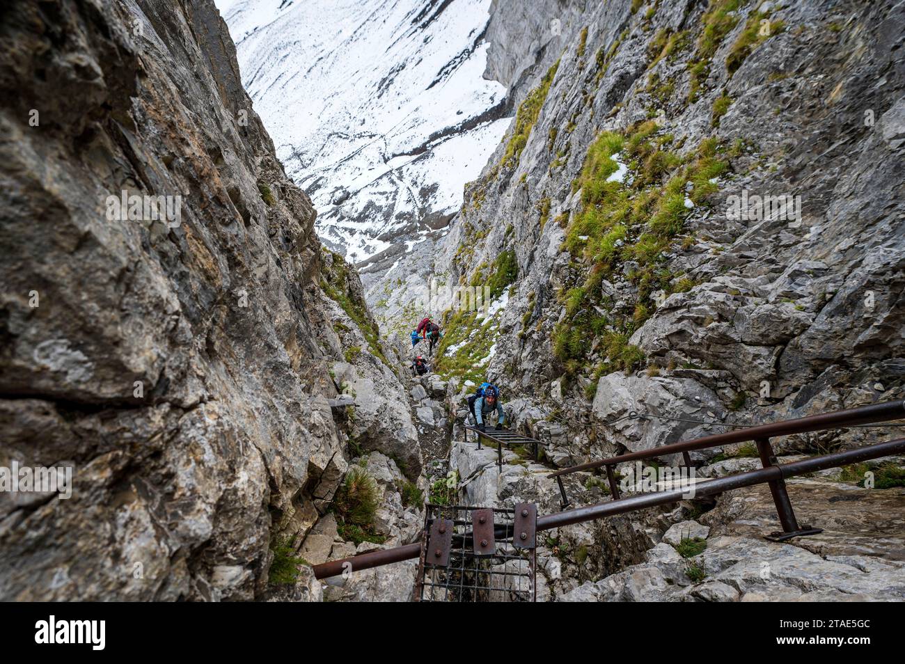 Switzerland, Valais, Champéry, Tour des Dents Blanches, hikers on the ...