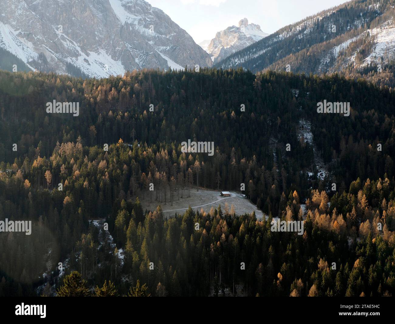 An Isolated wooden hut in the glade of radura Dolomites park of ...