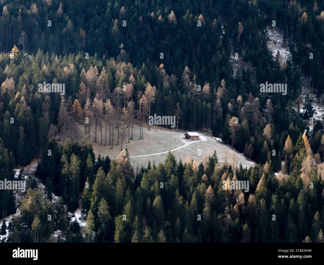An Isolated wooden hut in the glade of radura Dolomites park of ...