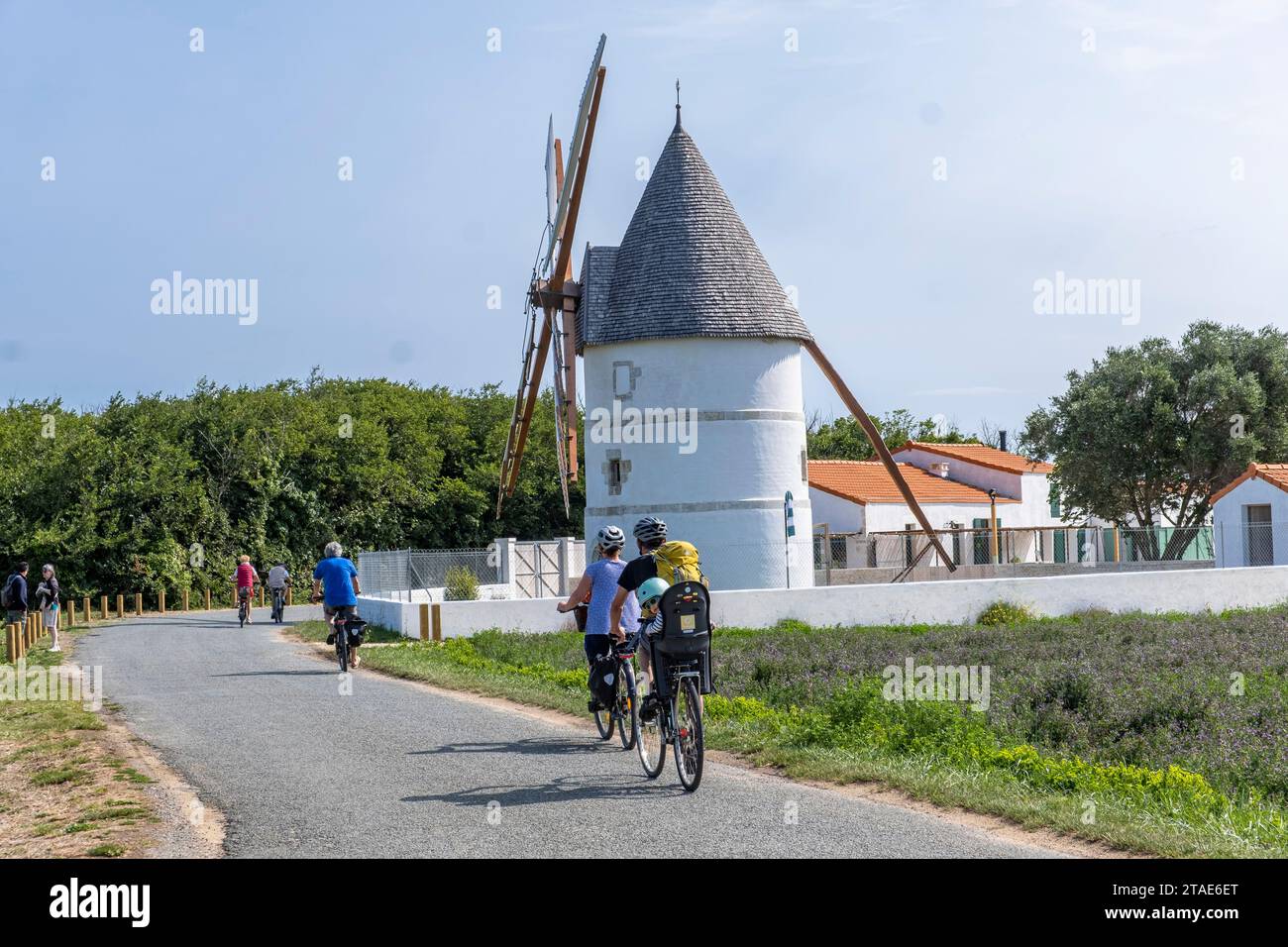 France, Charente Maritime, Oleron island, Ile d'Oleron, windmill in La ...