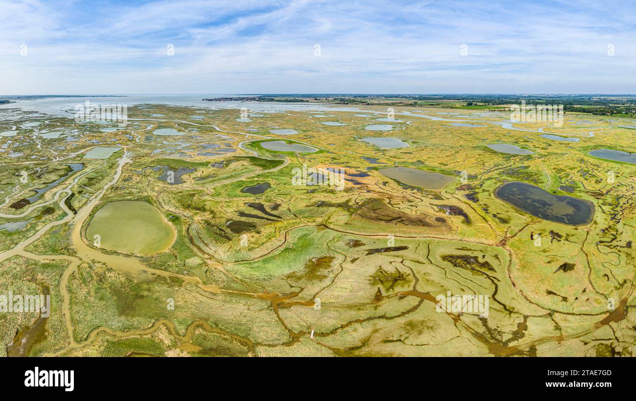 France, Somme (80), Baie de Somme, Le Crotoy, Grande Marée (high tide ...