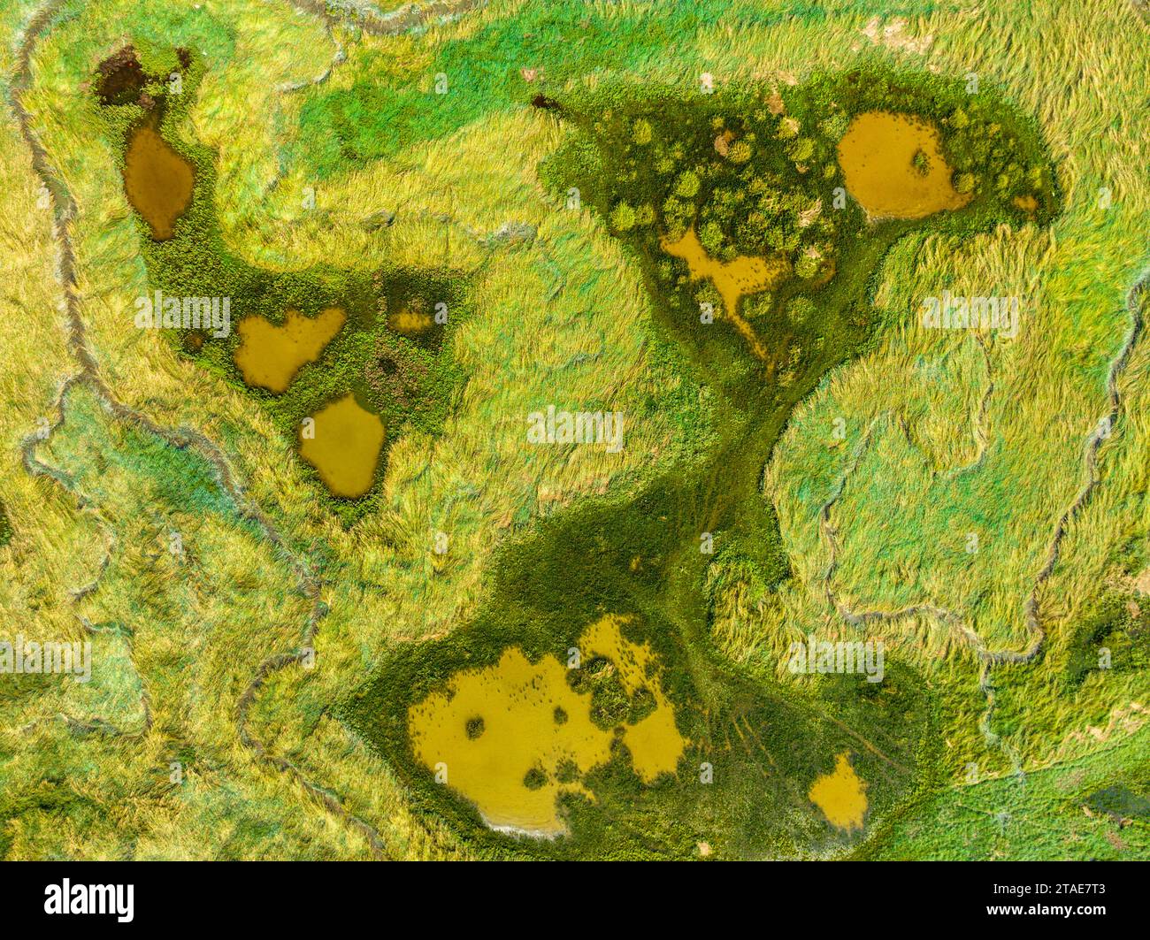 France, Somme (80), Baie de Somme, Le Crotoy, Grande Marée (high tide ...