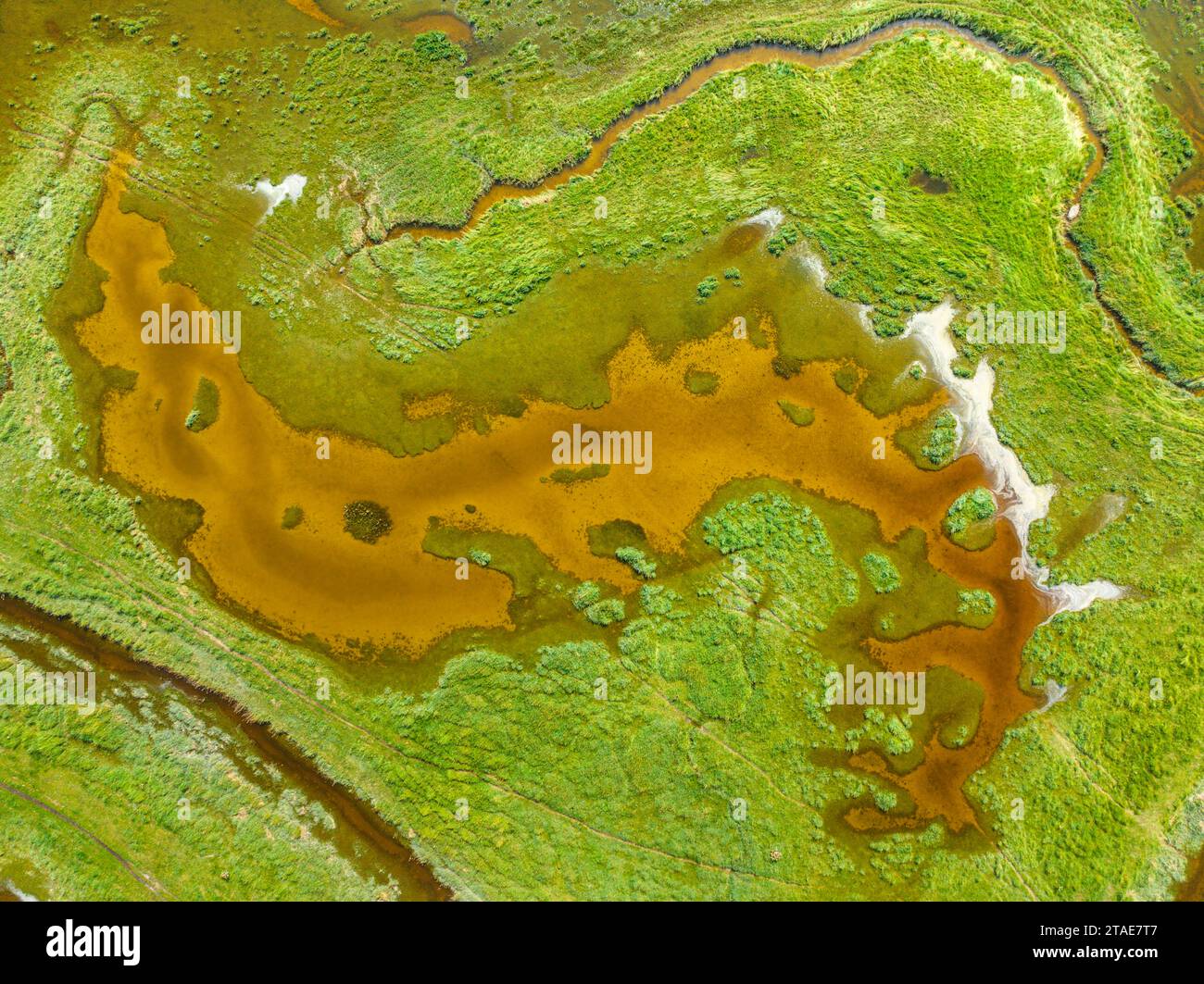 France, Somme (80), Baie de Somme, Le Crotoy, Grande Marée (high tide ...