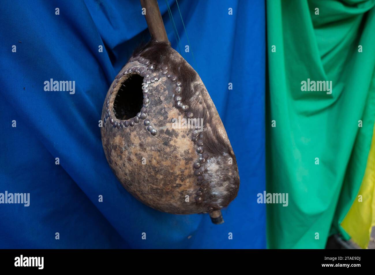 Senegal, Casamance, Boucotte, Diola museum, musical instrument detail ...