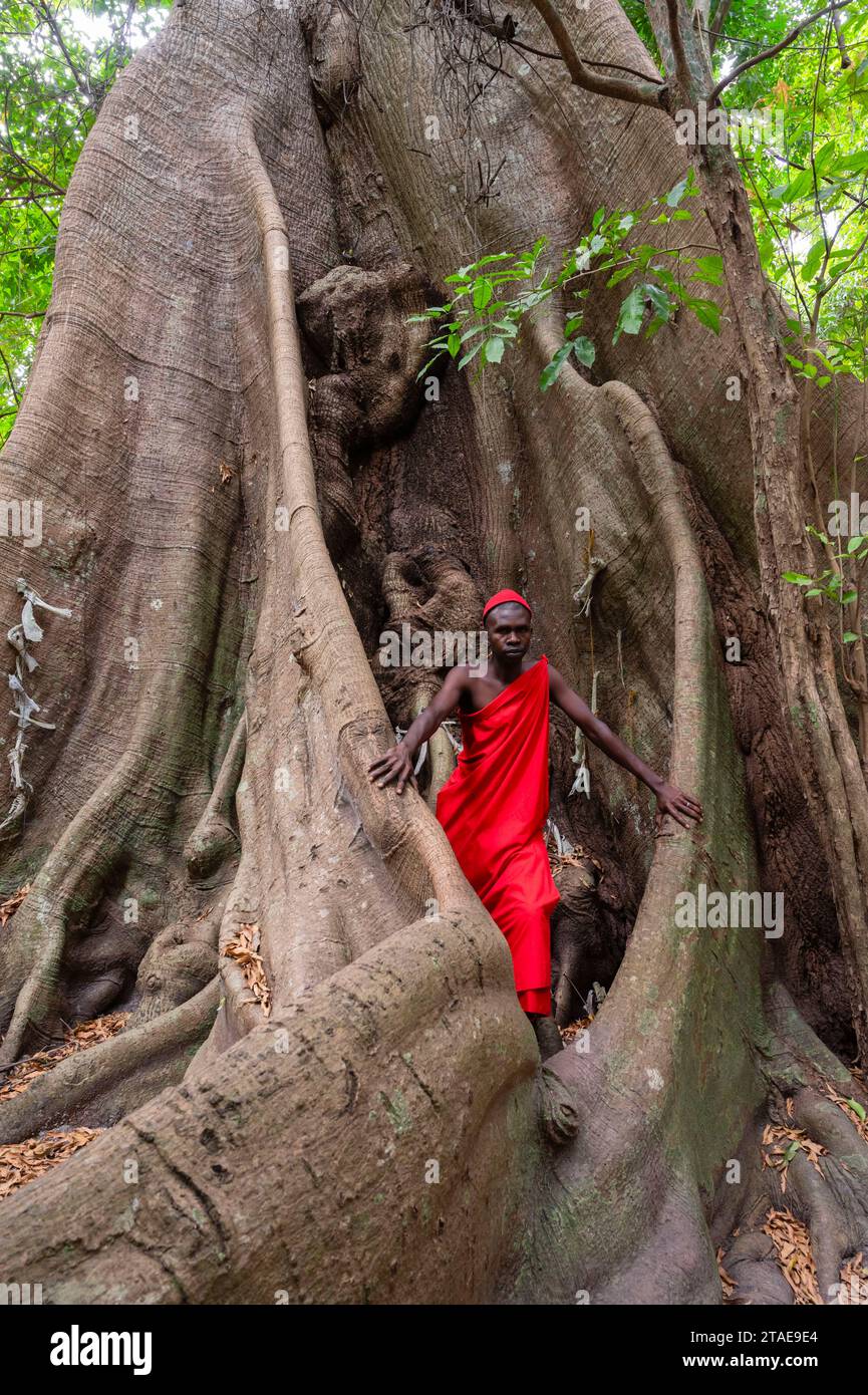 Senegal, Casamance, Boucotte, Diola museum, guide with traditional ...