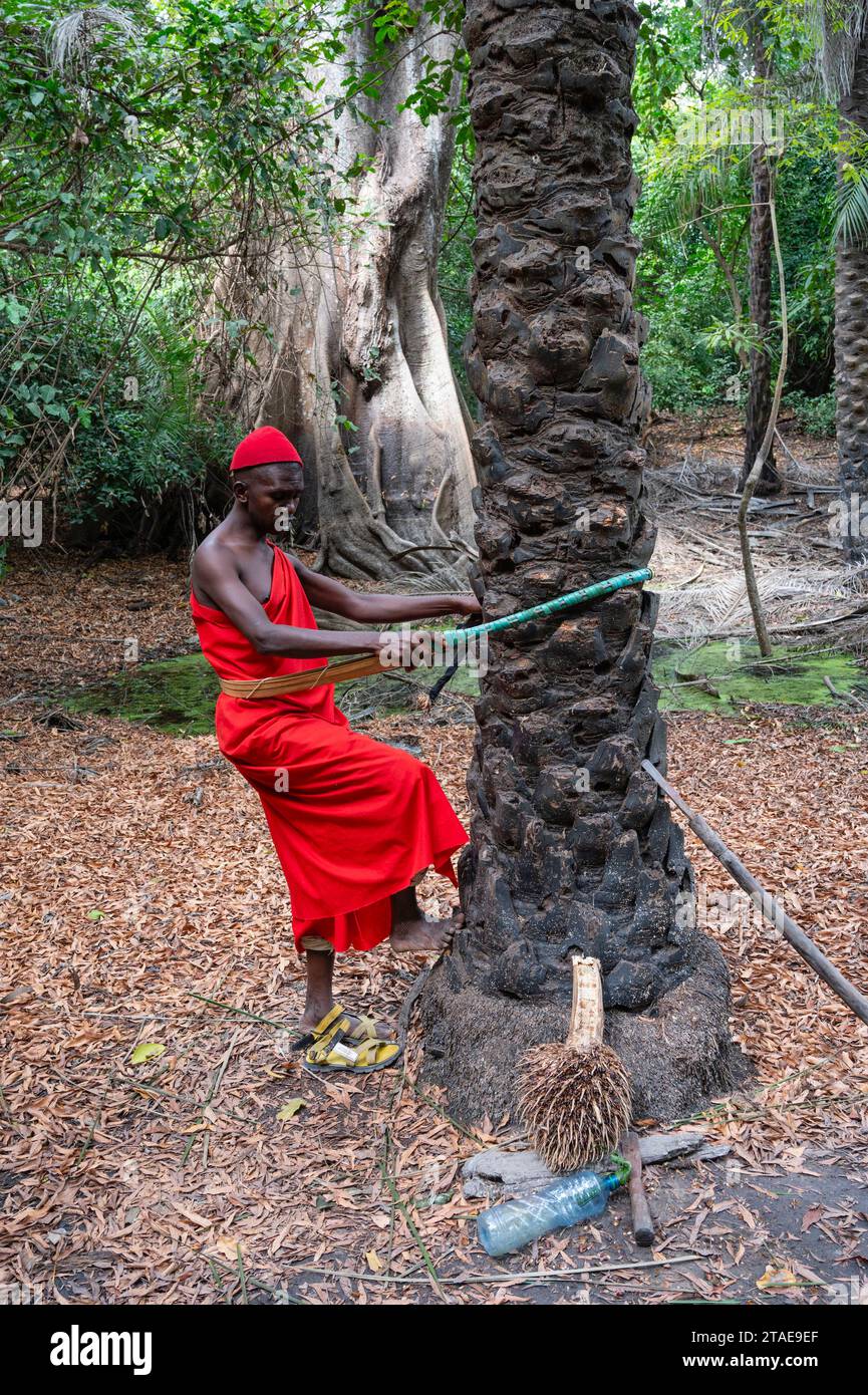 Senegal, Casamance, Boucotte, Diola museum, guide with traditional ...