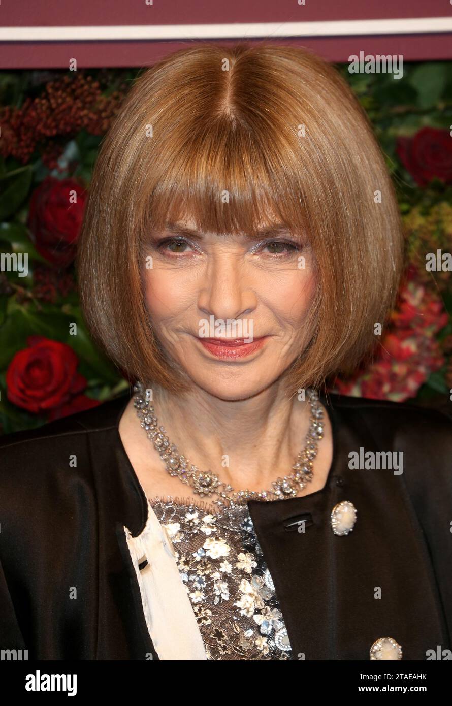 Dame Anna Wintour attends the 65th Evening Standard Theatre Awards at ...