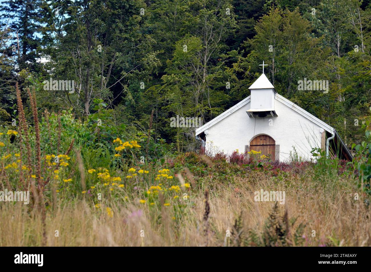 France, Haute Saone, Servance Miellin, Saint Blaise chapel erected in ...
