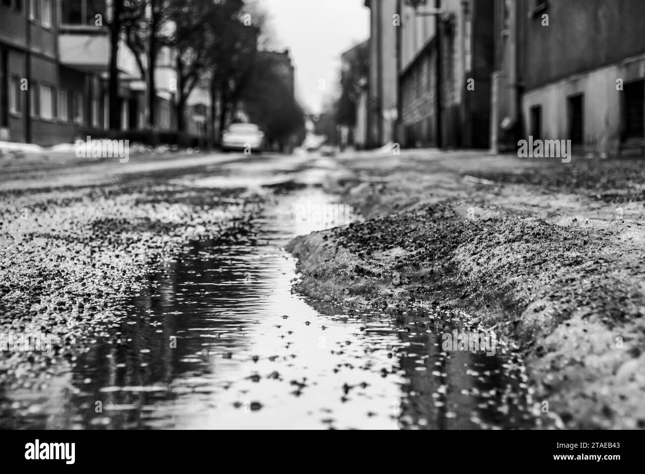 Street asphalt road rain Black and White Stock Photos & Images - Alamy