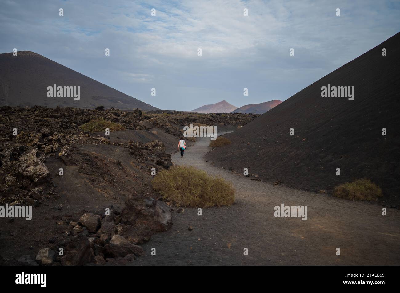 Volcan del Cuervo (Crow volcano) a crater explored by a loop trail in a ...