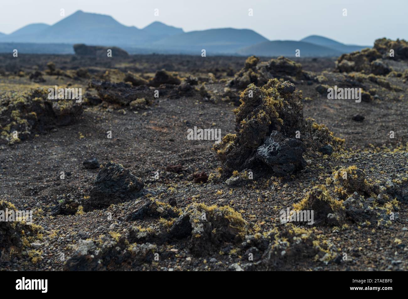 Volcan del Cuervo (Crow volcano) a crater explored by a loop trail in a ...