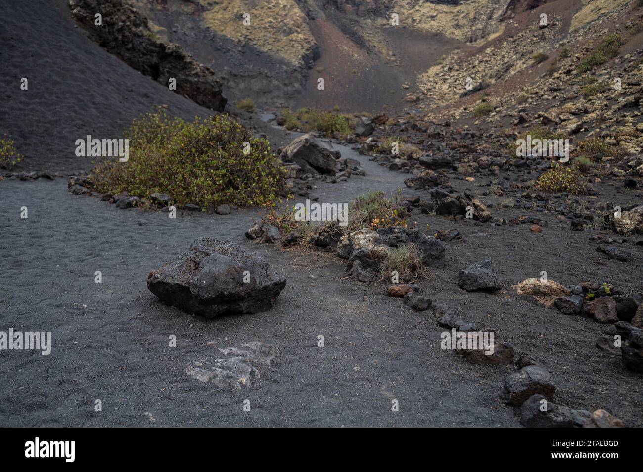 Volcan del Cuervo (Crow volcano) a crater explored by a loop trail in a ...