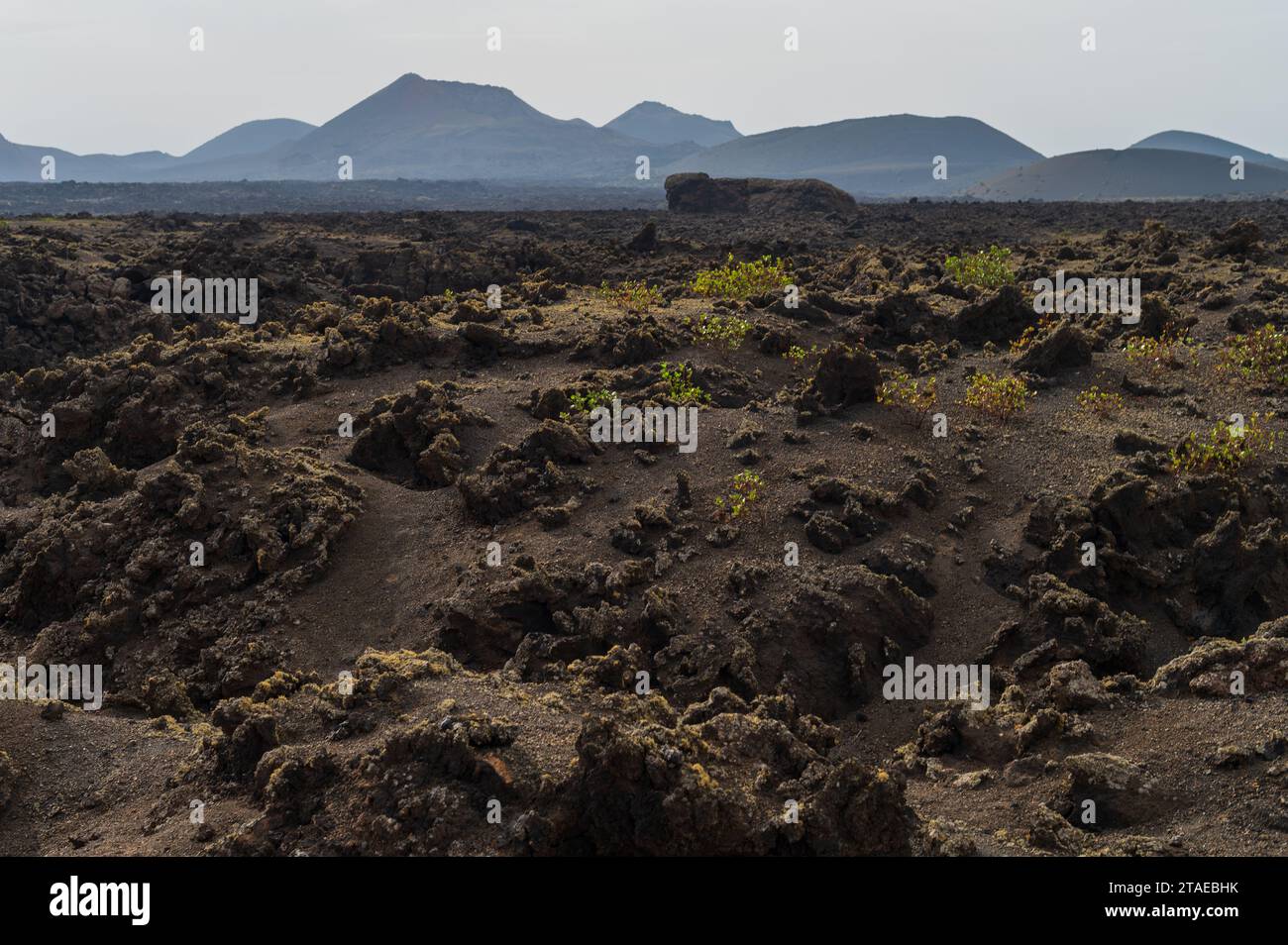Volcan del Cuervo (Crow volcano) a crater explored by a loop trail in a ...