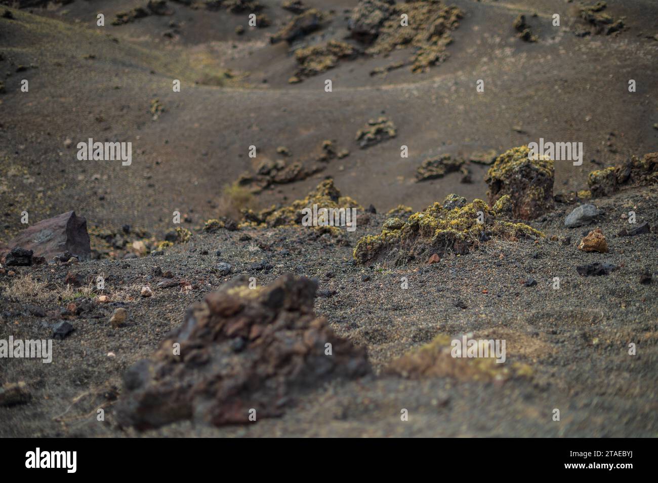 Volcan del Cuervo (Crow volcano) a crater explored by a loop trail in a ...