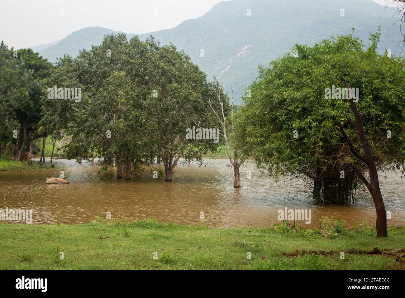 Kalvarayan hills hi-res stock photography and images - Alamy