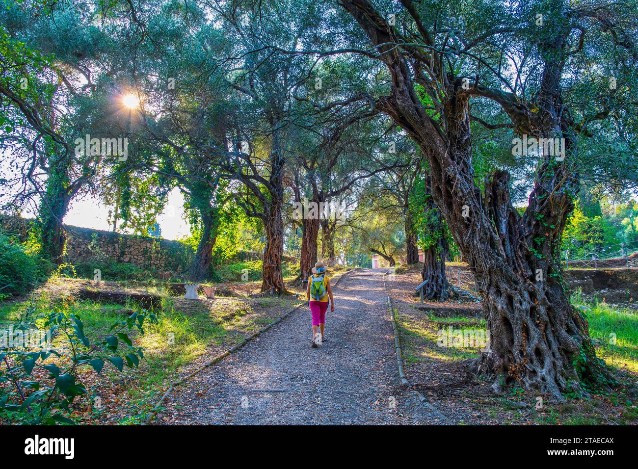 Greece, Ionian Islands, Corfu island, Corfu City (or Kerkyra), area of ...
