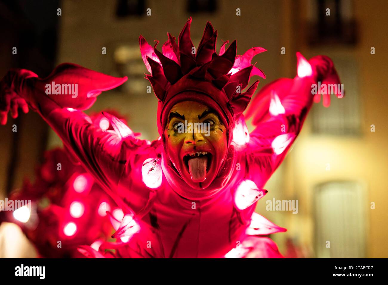 France, Meurthe et Moselle, Nancy, the Saint-Nicolas parade, strolling ...