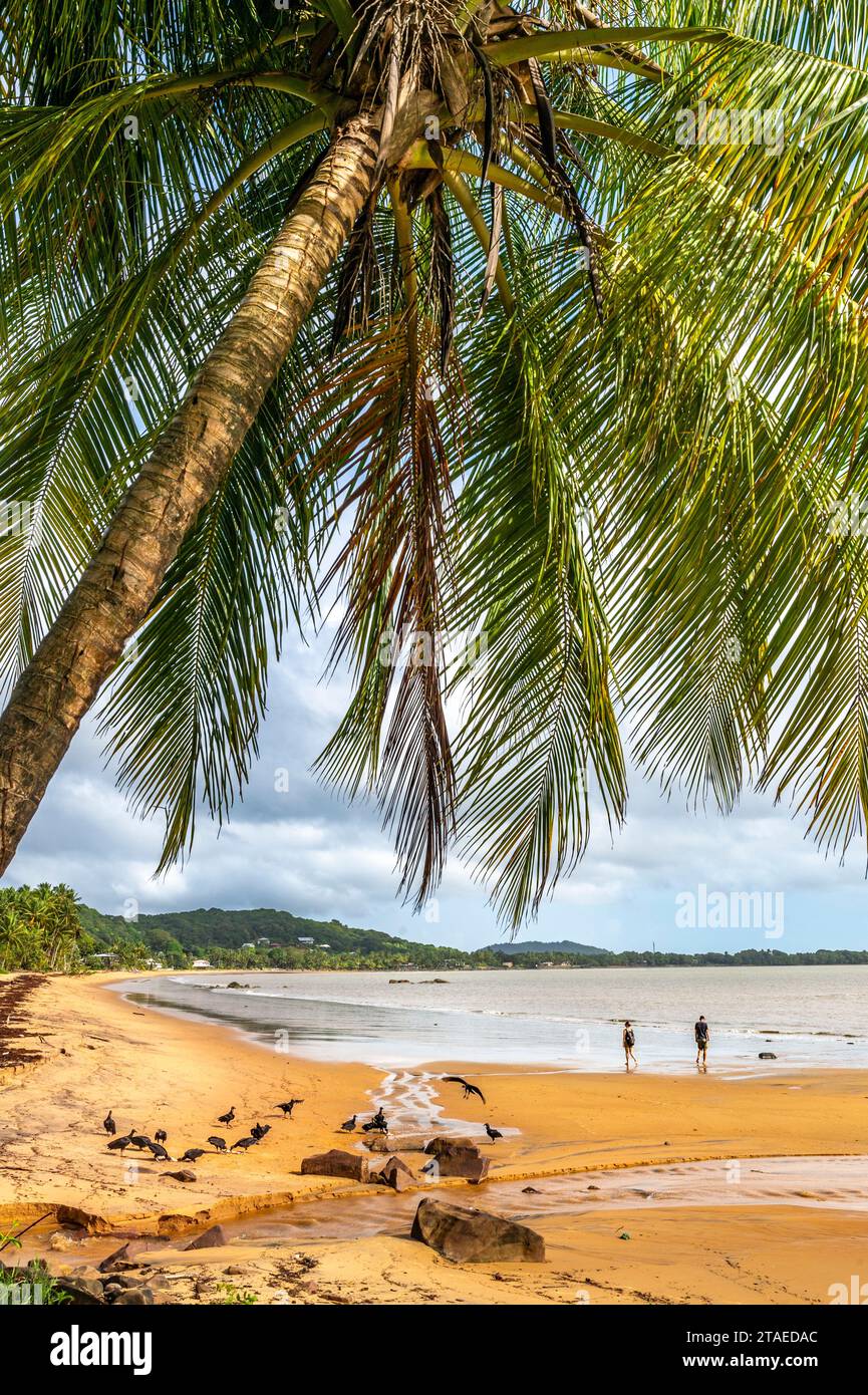 Montjoly hi-res stock photography and images - Alamy