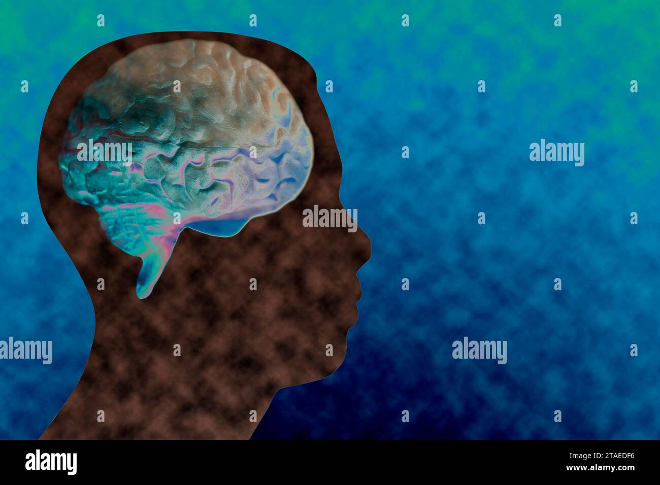 Medical acupuncture model of human with brain anatomical model Stock ...