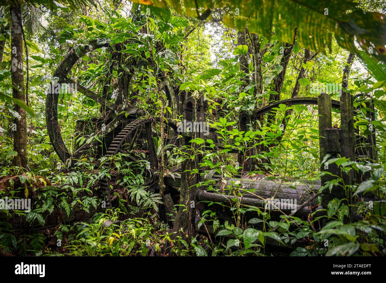 Montjoly hi-res stock photography and images - Alamy