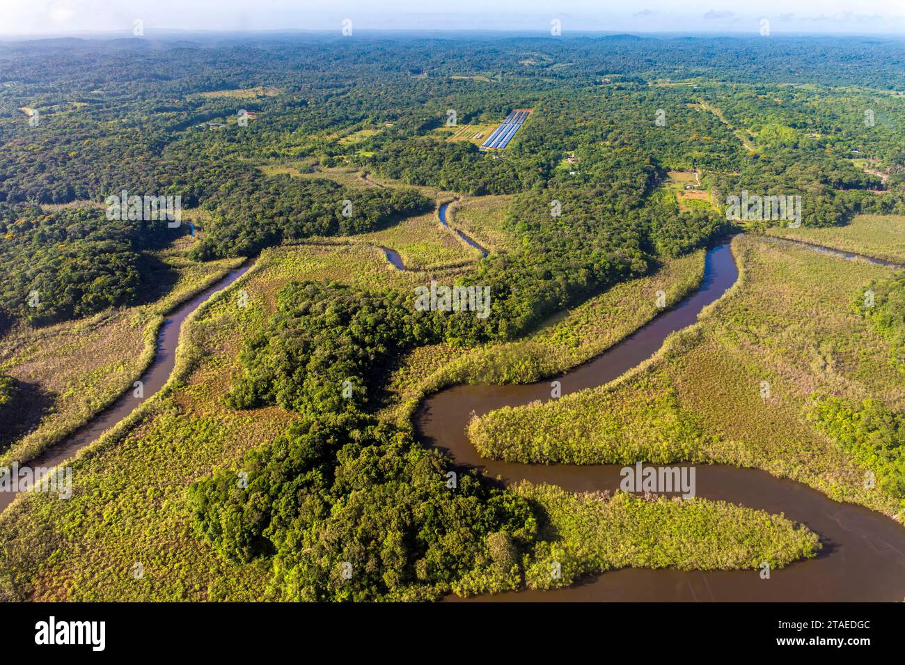 France, Guiana, Aerial view of the Amazon rainforest and the Montsinéry ...