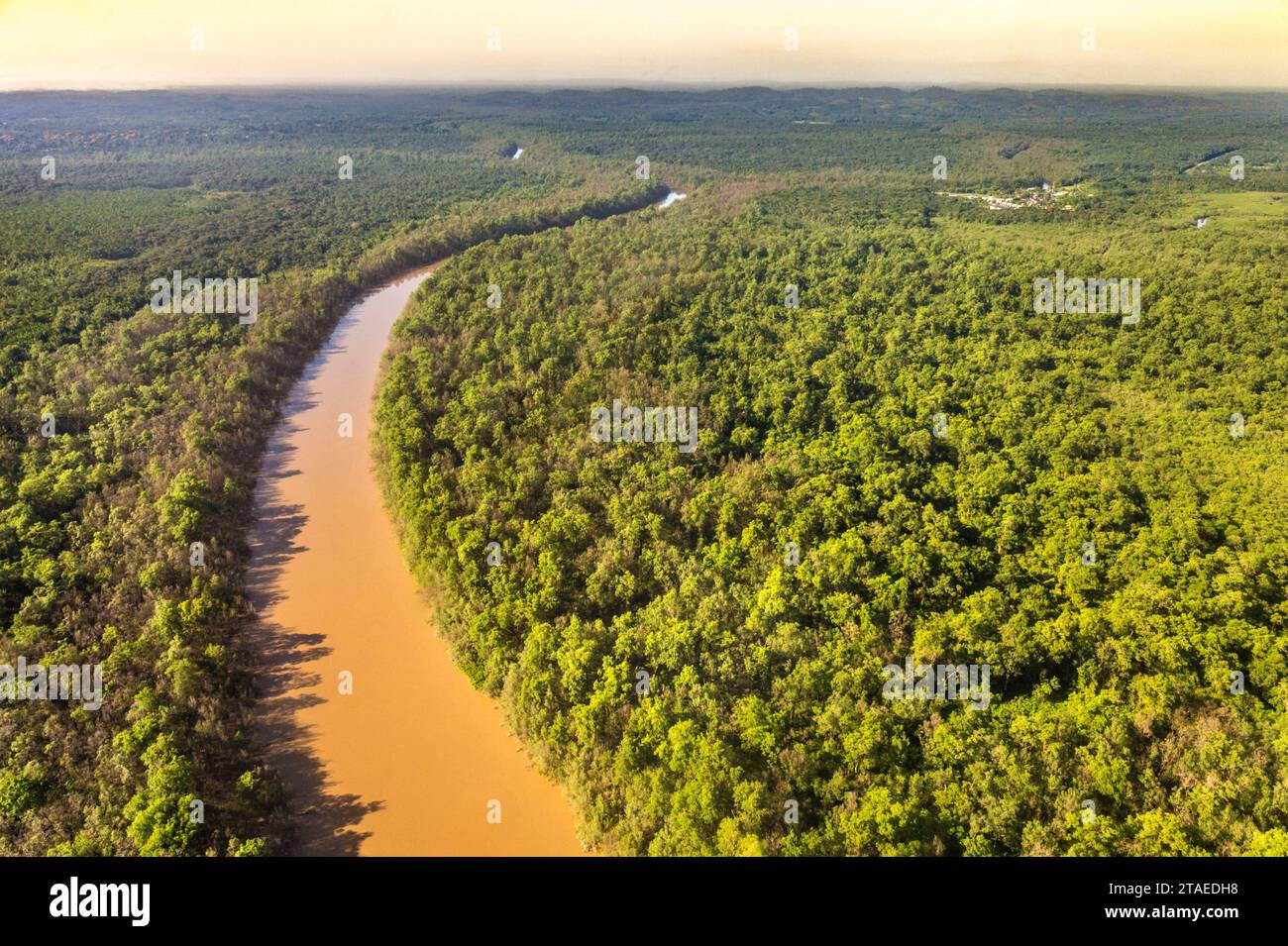 France, Guiana, Aerial view of the Amazon rainforest and the Montsinéry ...