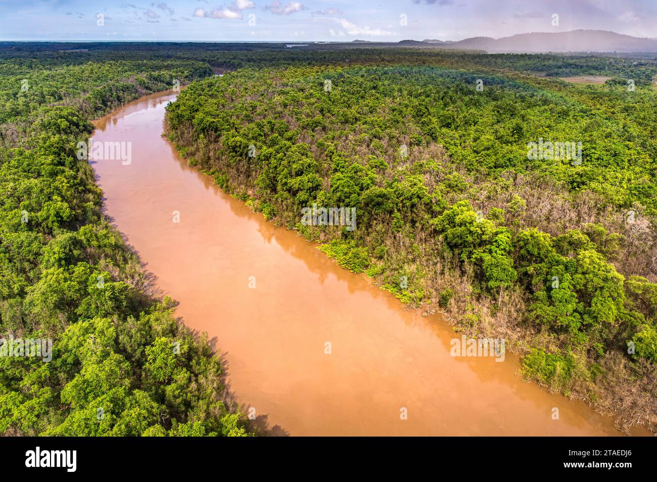 France, French Guiana, Aerial view of the Amazon rainforest and the ...