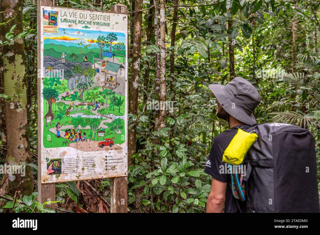 France, French Guiana, Saint-Georges, hike in the Régina national ...