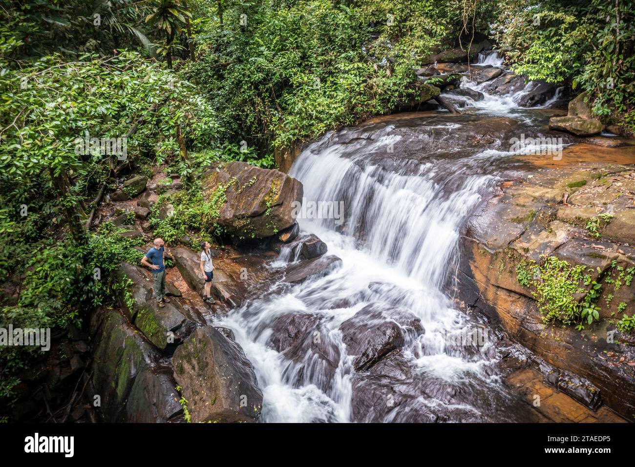 France, French Guiana, Roura, Fourgassier Falls hike(aerial view Stock ...