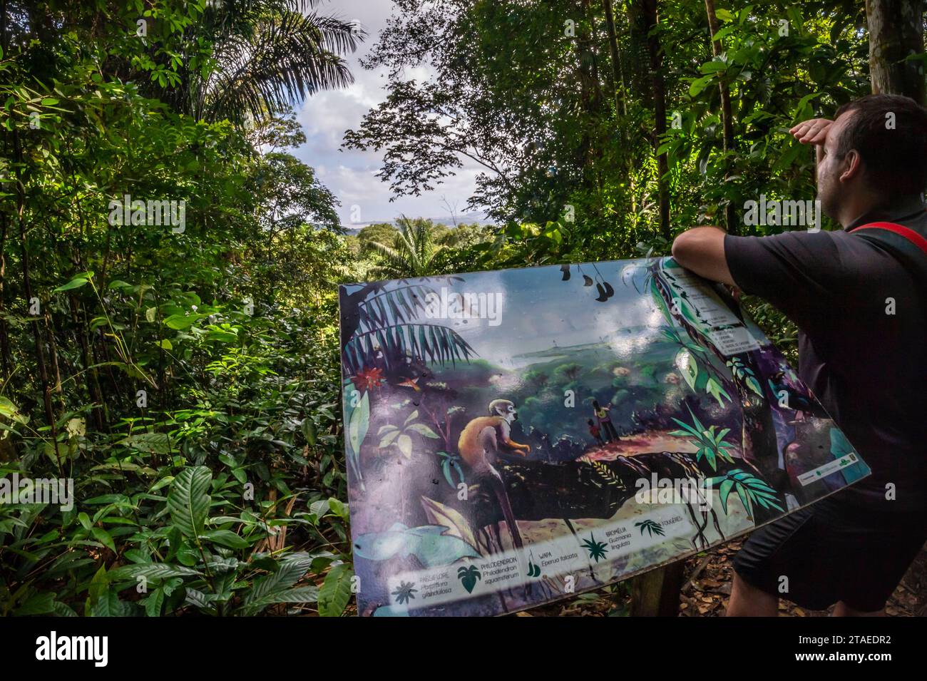France, Guiana, Matoury, Mont Grand Matoury Nature Reserve, hiking on ...