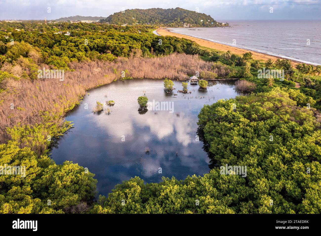 France, French Guiana, Rémire-Montjoly, Montjoly salt flats(aerial view ...