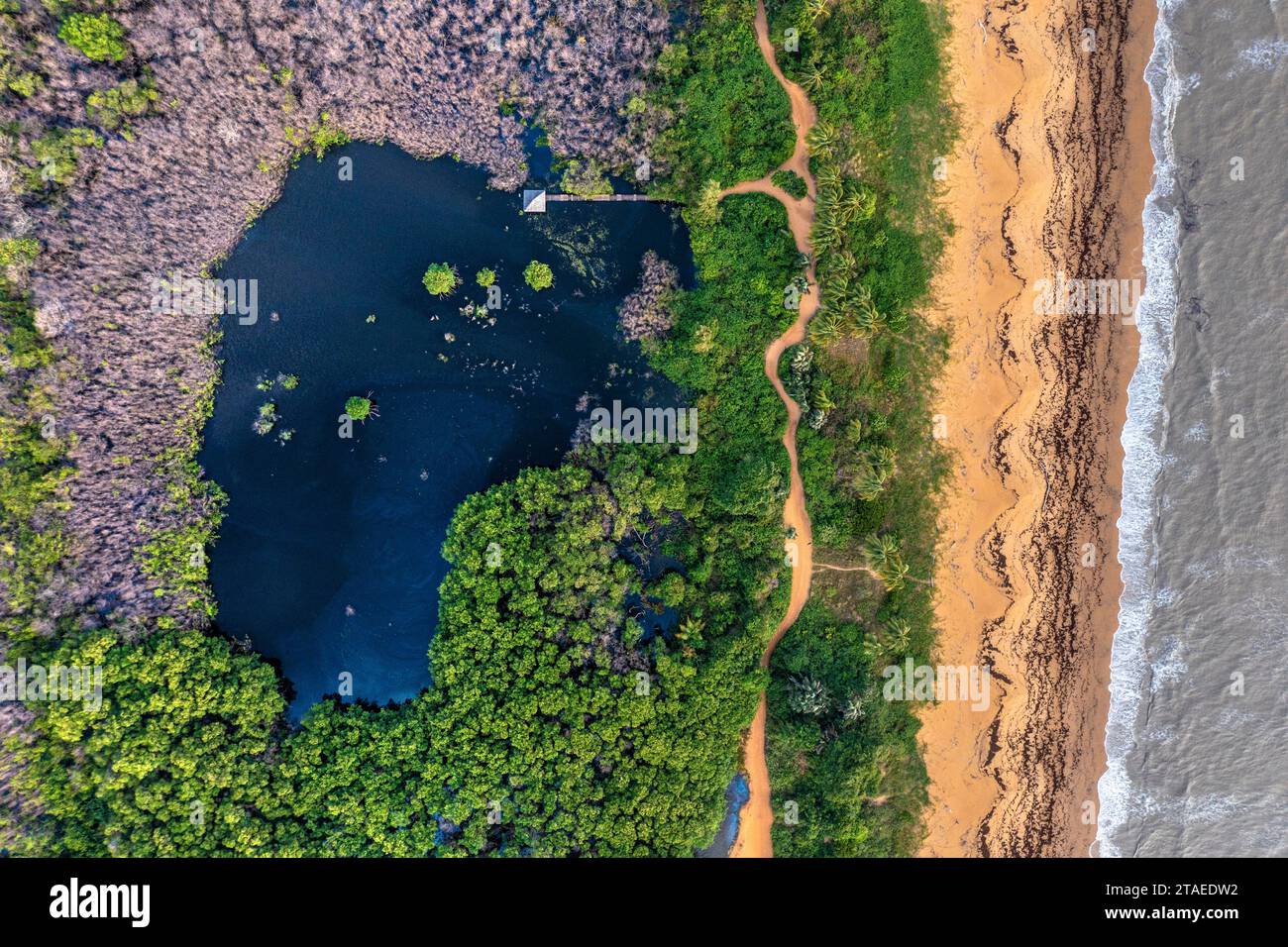 France, French Guiana, Rémire-Montjoly, Montjoly salt flats(aerial view ...
