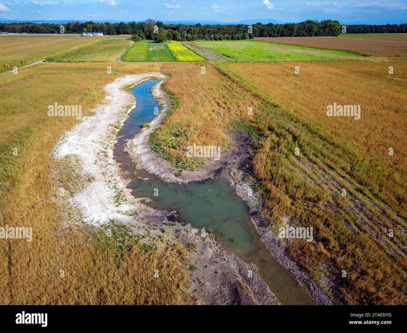 France, Bas Rhin, the Ried, Muttersholtz, French capital of ...