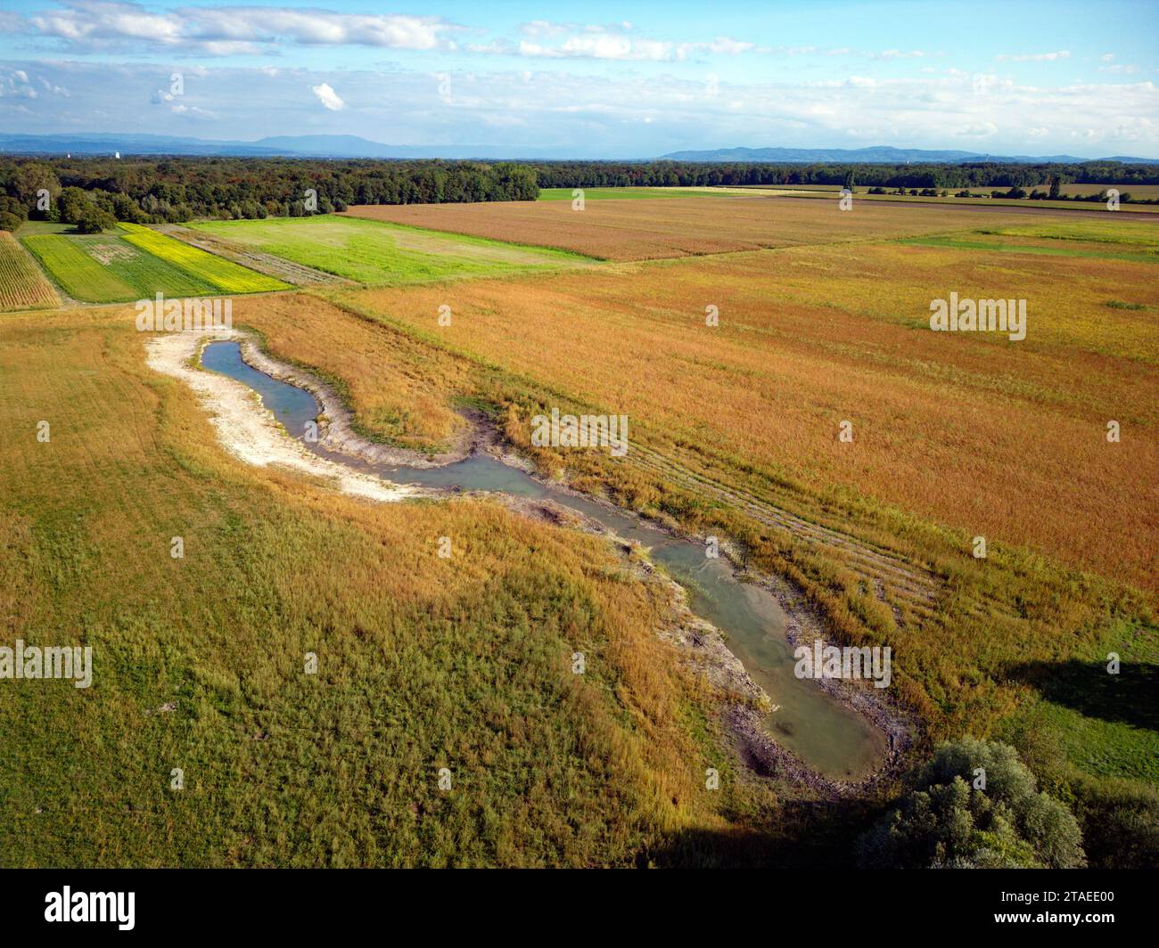 France, Bas Rhin, the Ried, Muttersholtz, French capital of ...