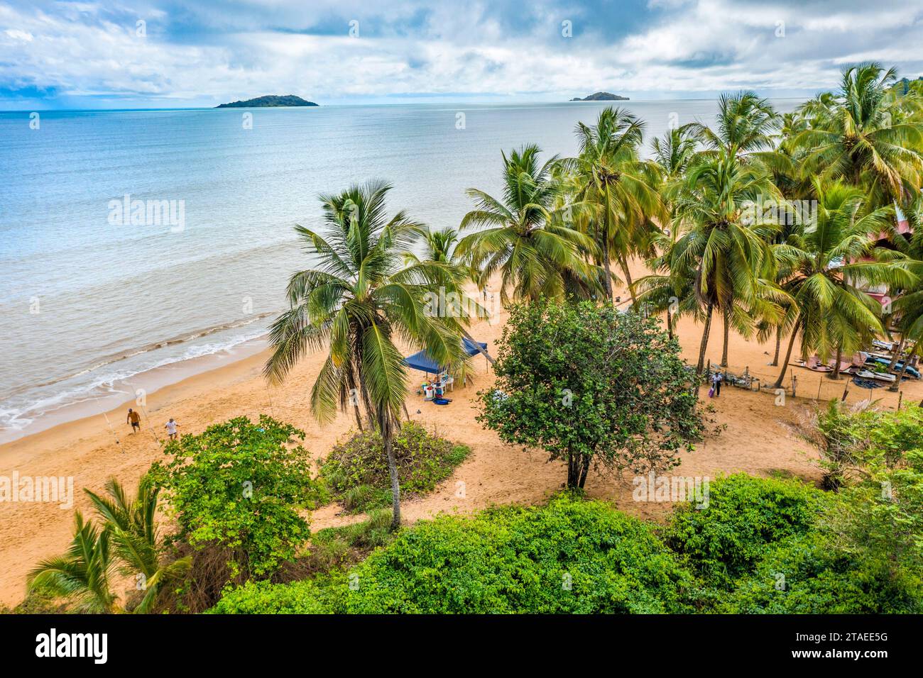 France, French Guiana, Rémire-Montjoly, Salines de Montjoly beach ...