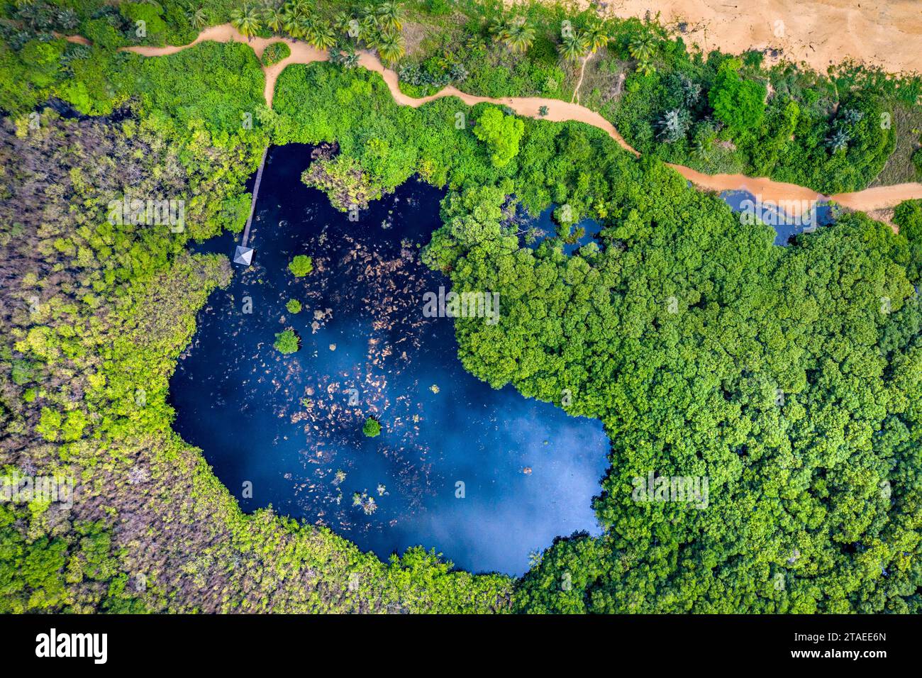 France, French Guiana, Rémire-Montjoly, Salines and Montjoly beach and ...