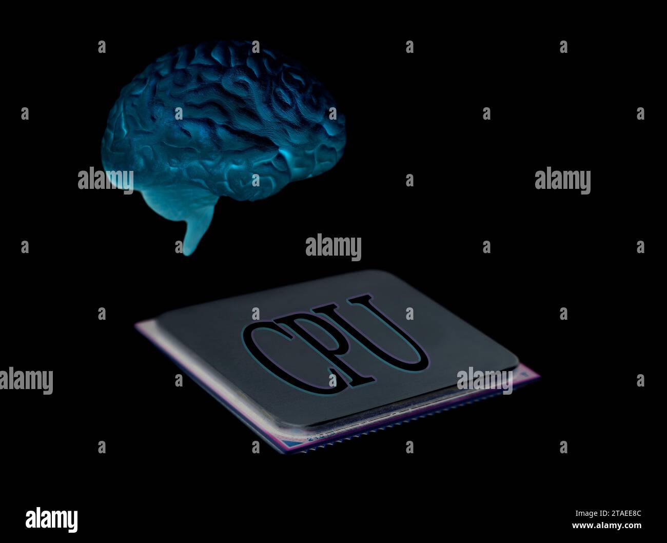 Left brain right brain computer hi-res stock photography and images - Alamy