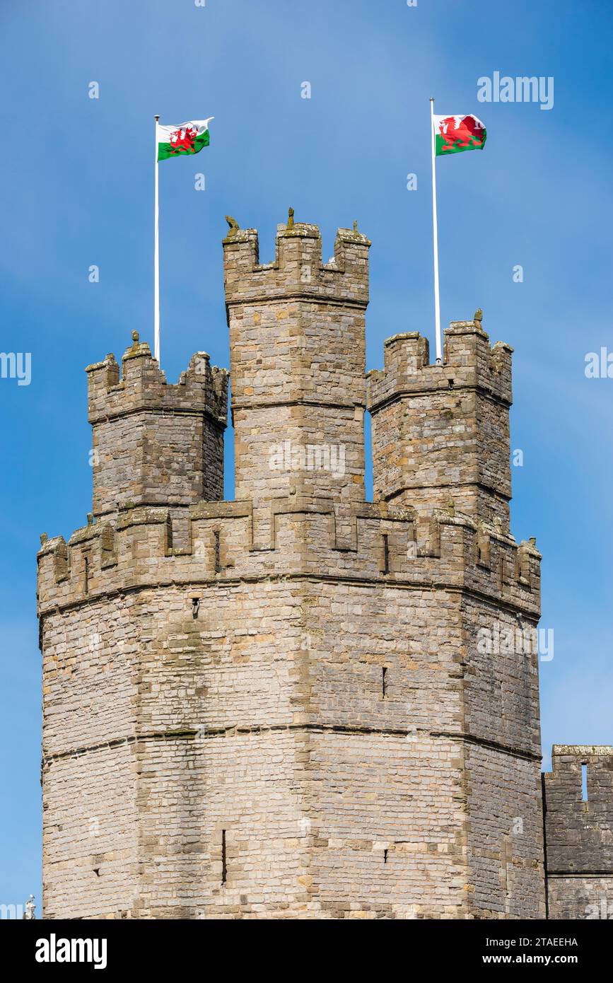 Welsh flag flying from tower hi-res stock photography and images - Alamy