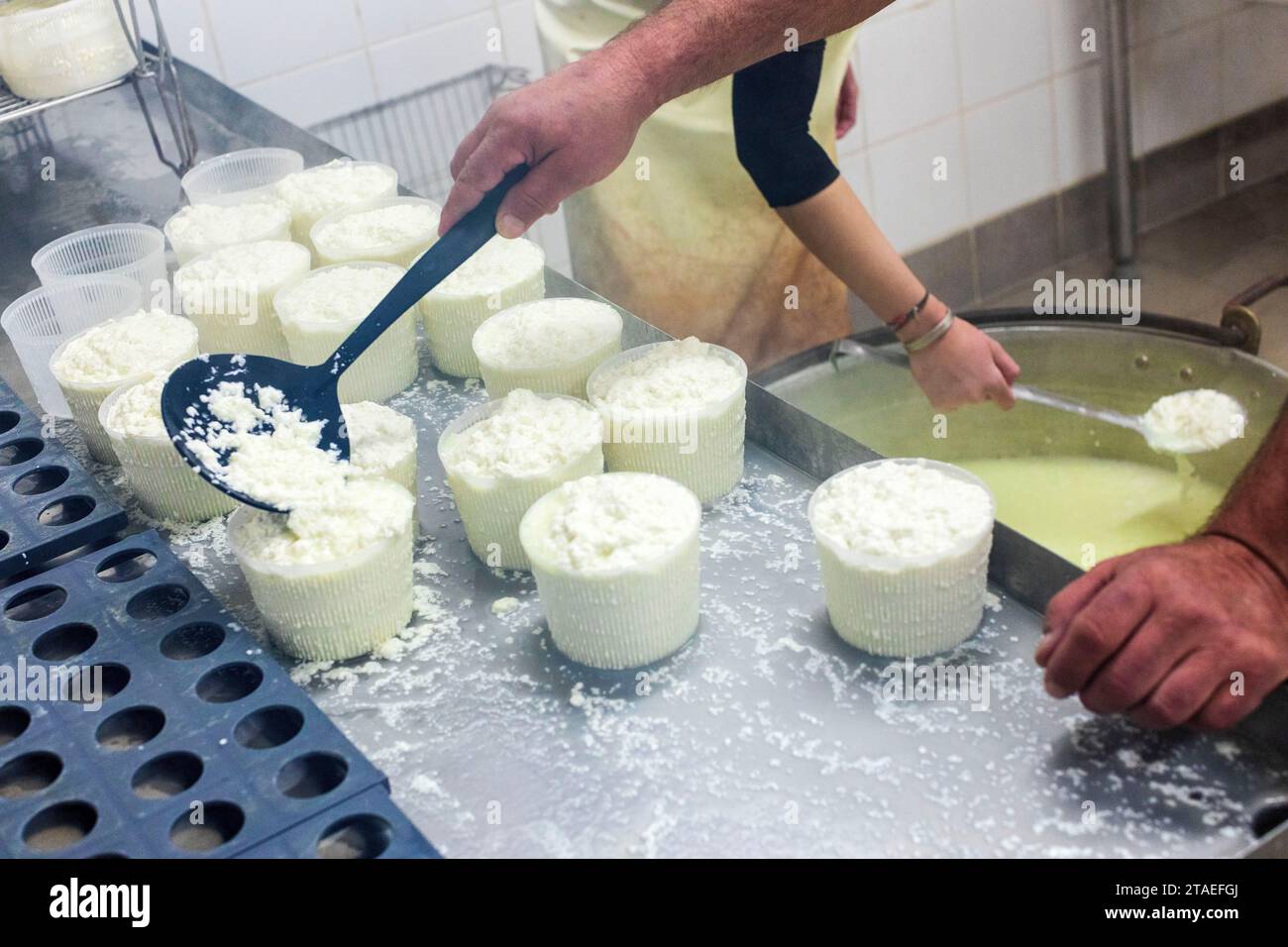 Brocciu cheese hi-res stock photography and images - Alamy