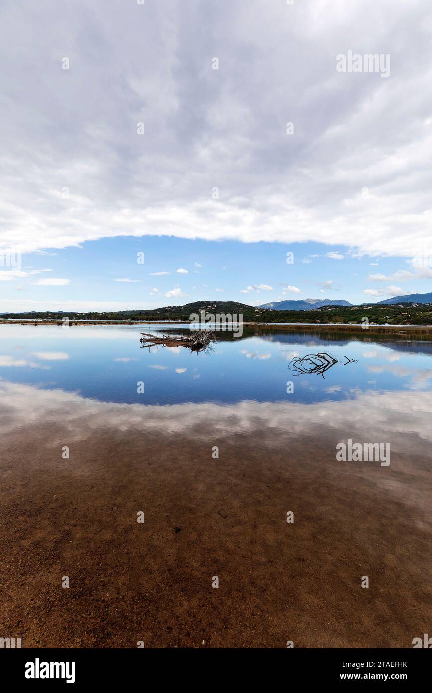 Lecci corsica hi-res stock photography and images - Alamy