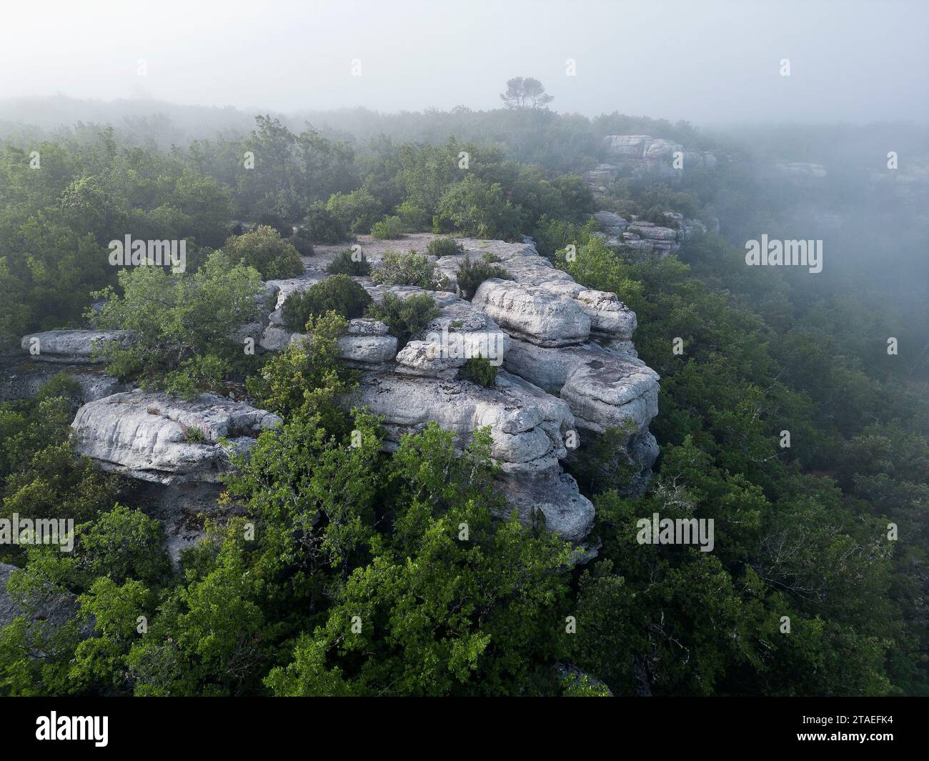 Cabris france hi-res stock photography and images - Alamy