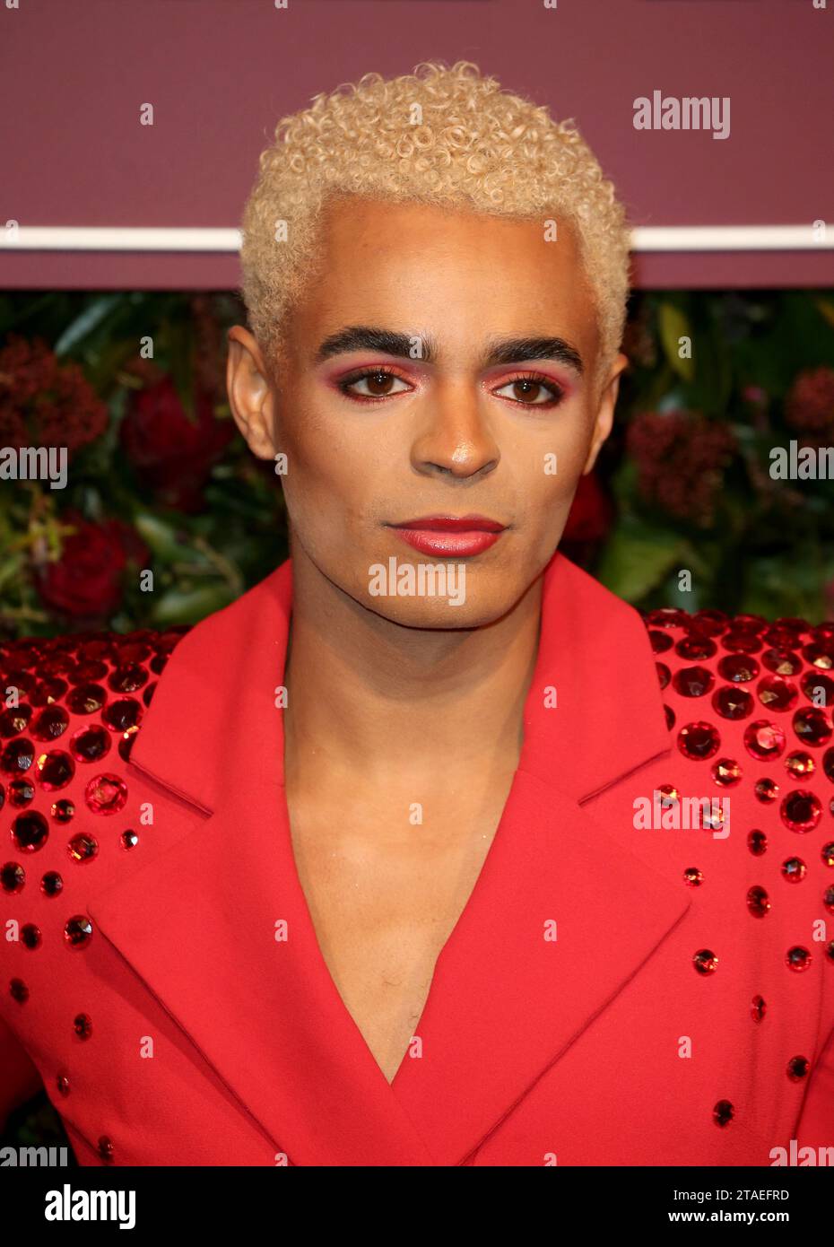 London, UK. 24th Nov, 2019. Layton Williams attends the 65th Evening ...