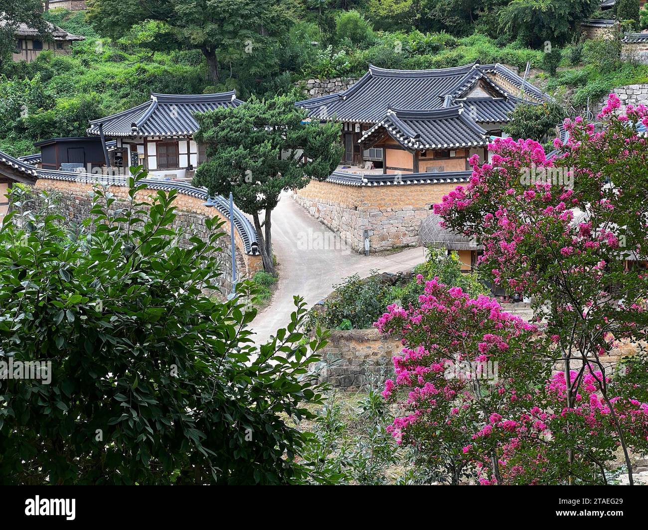 South Korea, North Gyeongsang province, Pohang, traditional hanok ...