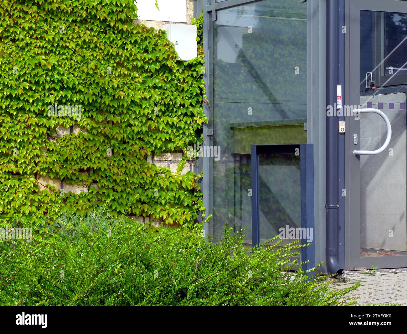Outdoor glass elevator hi-res stock photography and images - Alamy