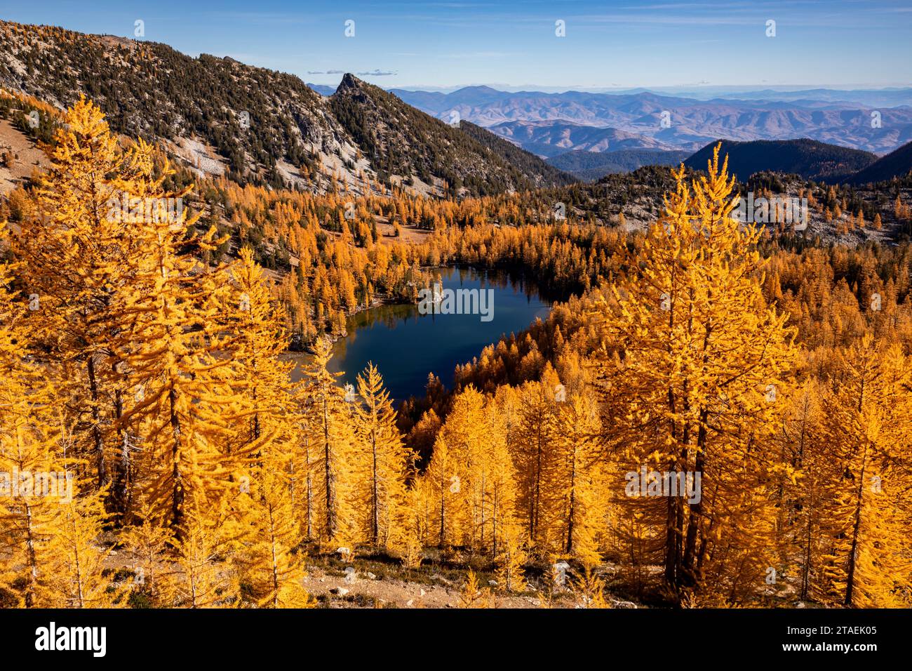 WA23823-00...WASHINGTON - Cooney Lake surrounded by larch trees in ...