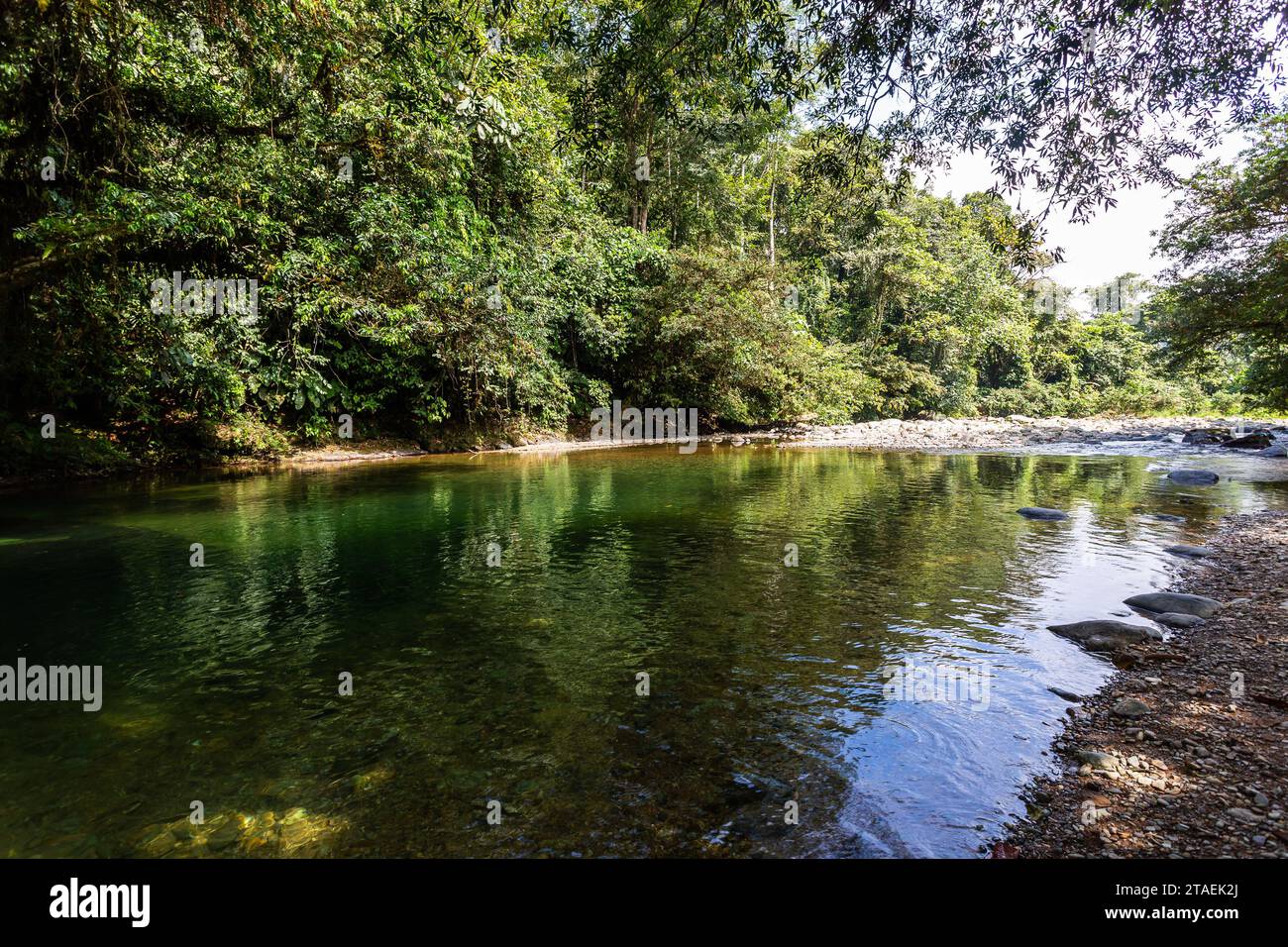 Andean choco hi-res stock photography and images - Alamy